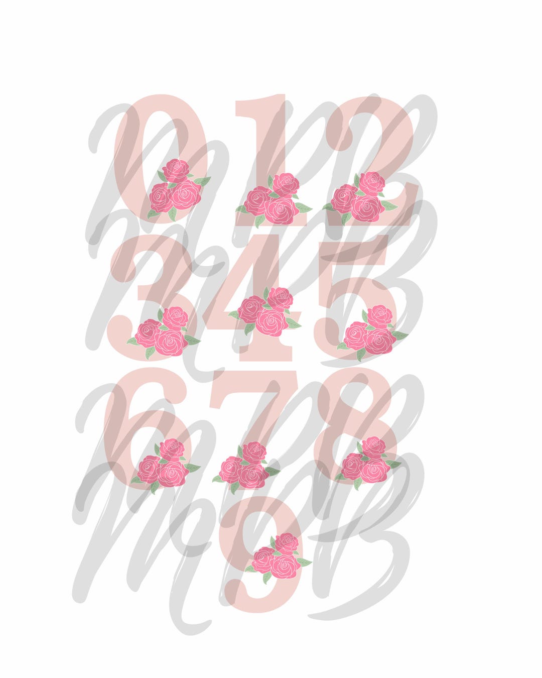 Girly Rose Numbers SVG and PNG - Etsy