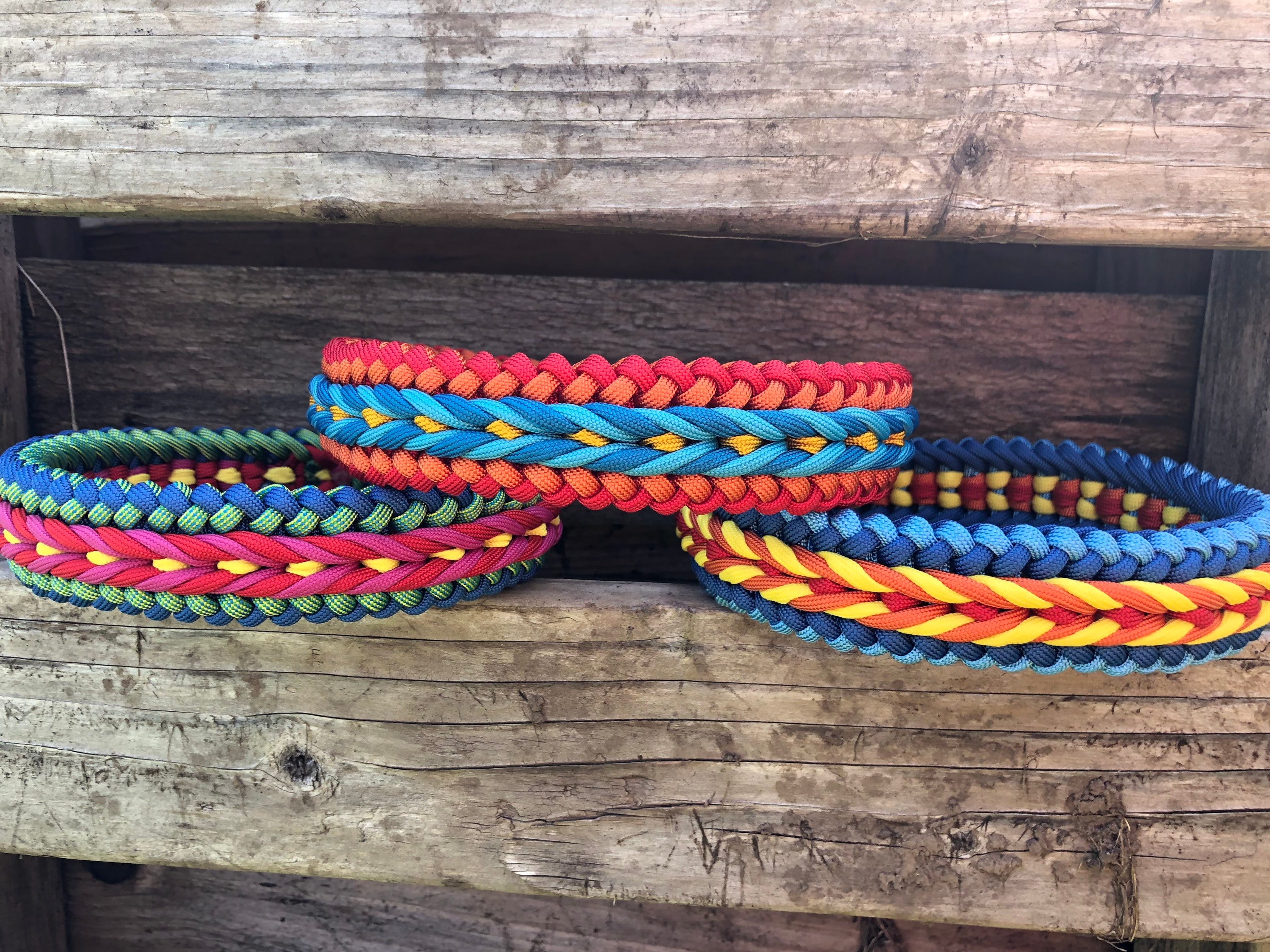 Fiesta Dog Collars - Etsy