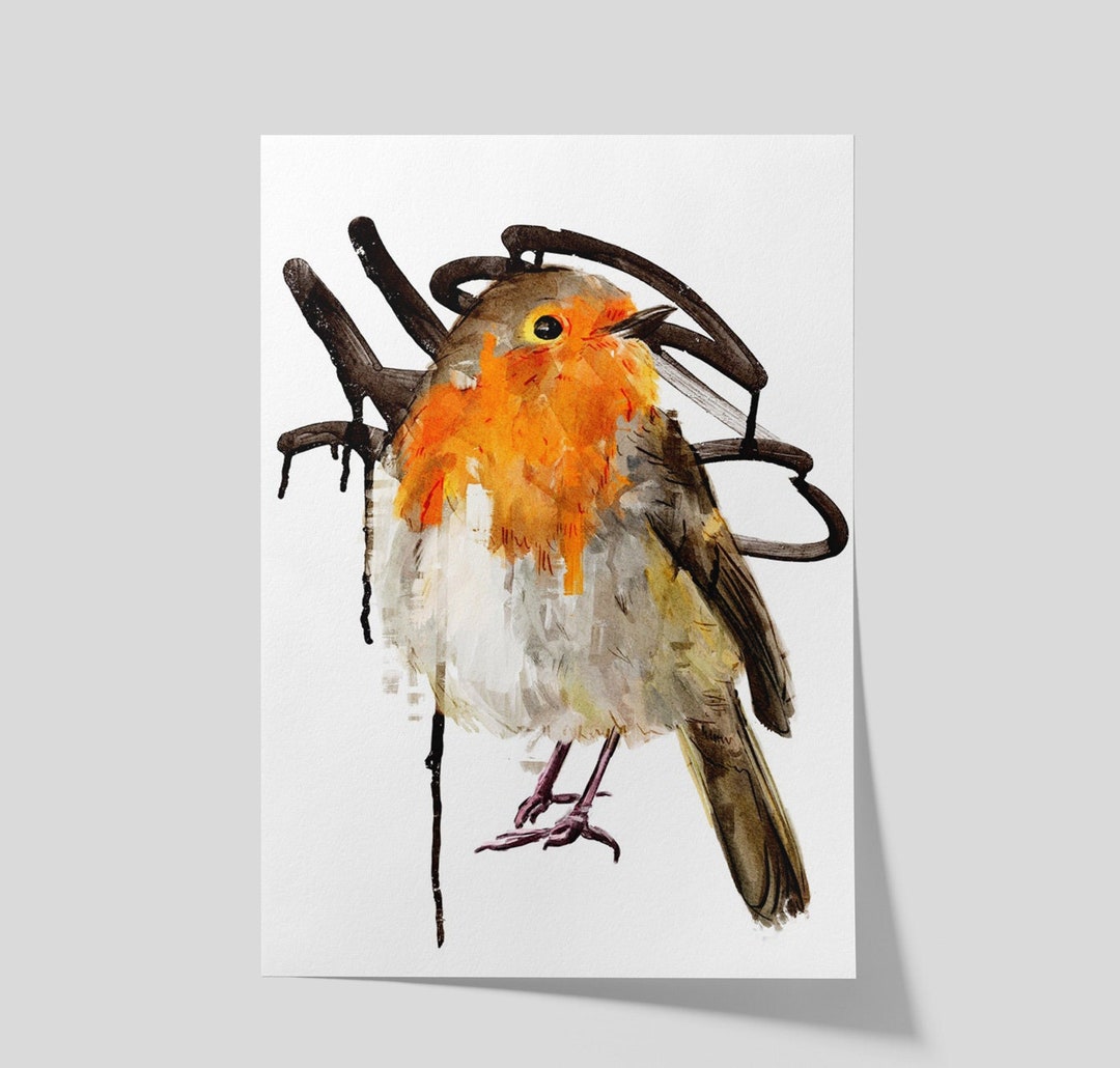 Graffiti Style Robin Art Print | Nature Gift Idea | Modern Garden Bird ...