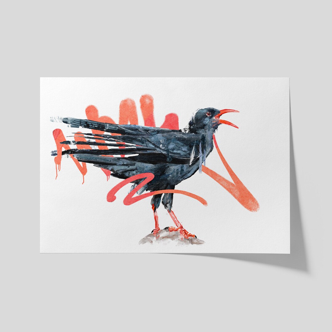 Graffiti Style Chough Art Print | Nature Gift Idea | Modern Garden Bird ...