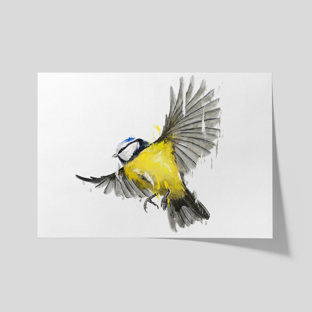 Blue TIT BIRD Art Print Nature Gift Idea Modern Bird Poster Wild Art ...