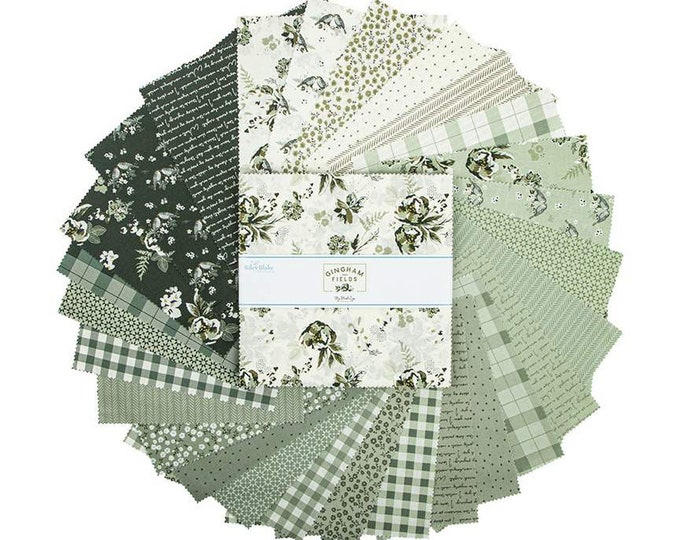 Riley Blake Gingham Fields 10" Stacker Bundle Cheerful Patterns and ...