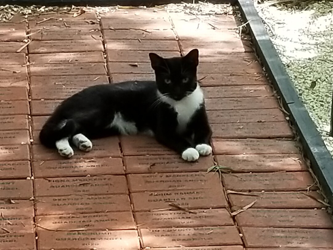 Personalized Brick Paver for Guardian Angels - Etsy