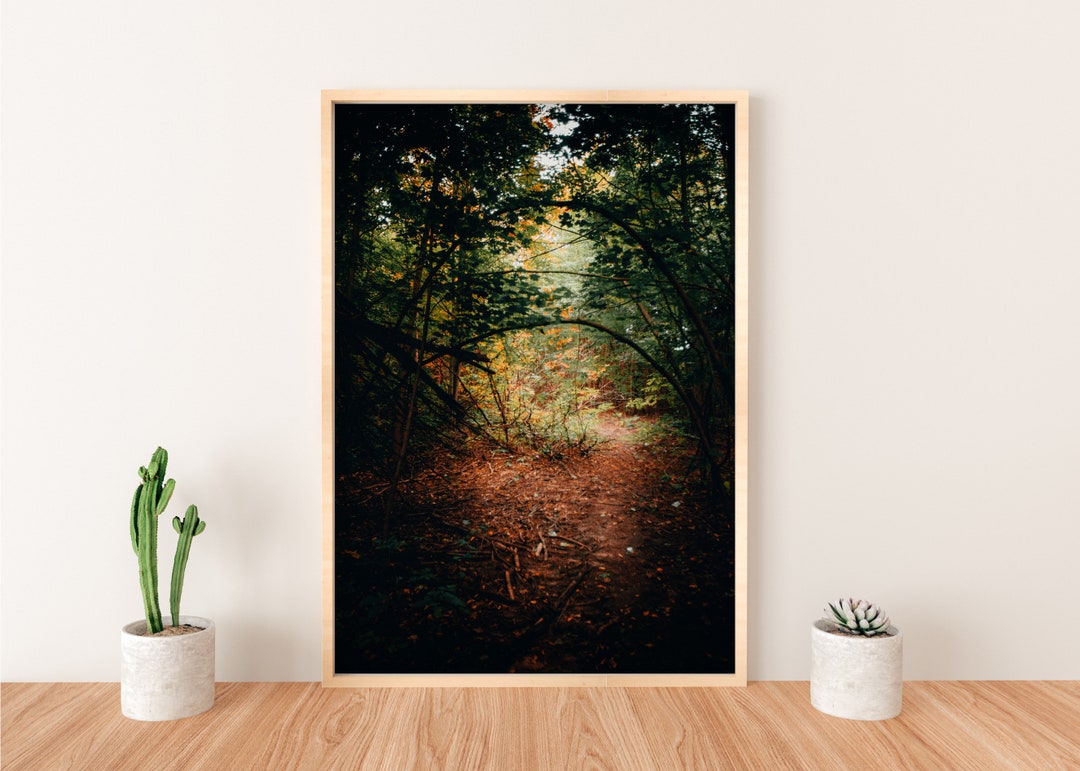 Forest Path Barrie Ontario Canada - Etsy