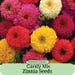 Bulk Pink Flower Seeds Best Gift for Gardening Lovers - Etsy