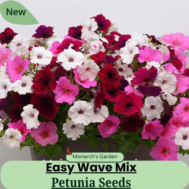Petunia Easy Wave Mix PELLETED UNTREATED - Etsy