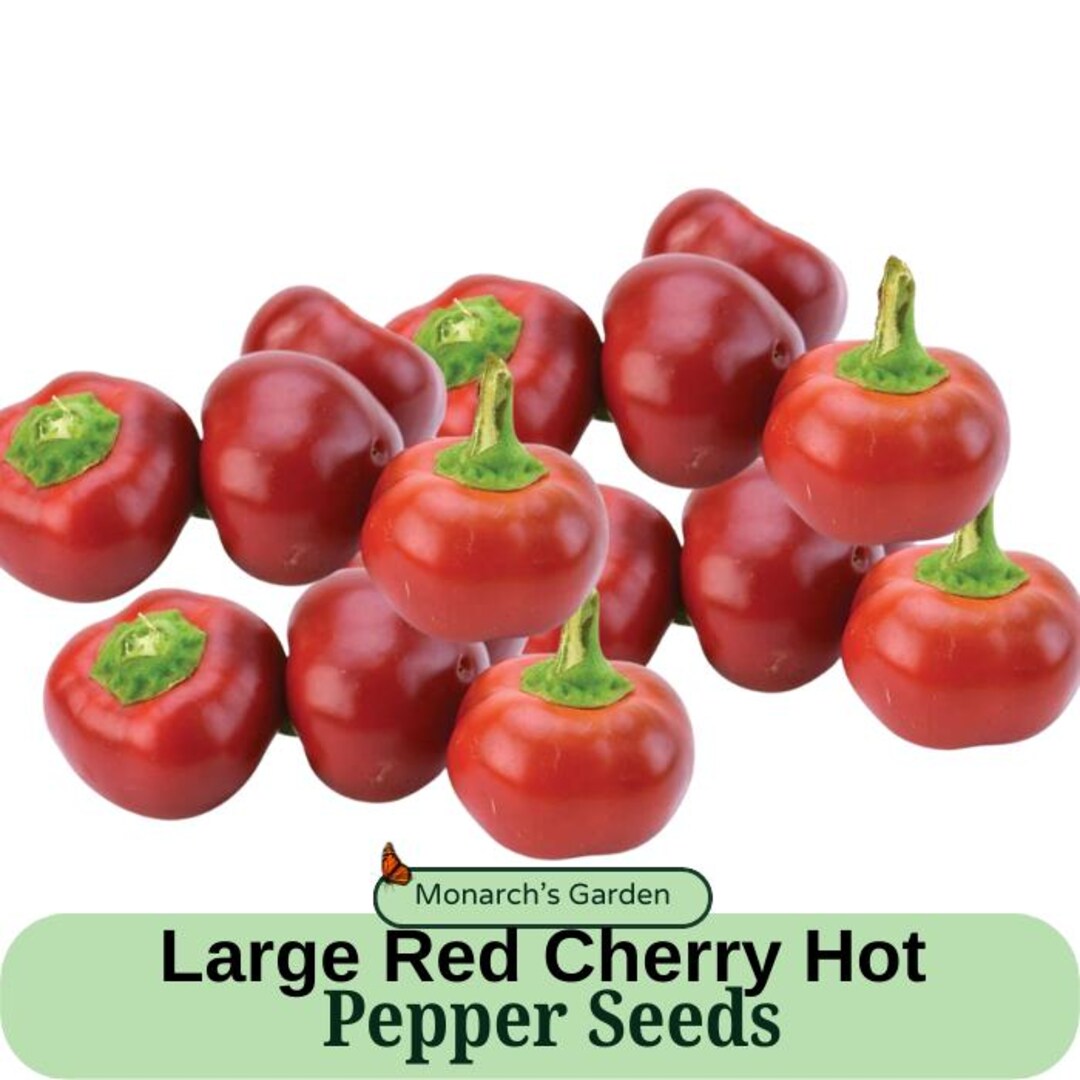 Pepper Large Red Cherry Hot Seeds U S A SELLER - Etsy