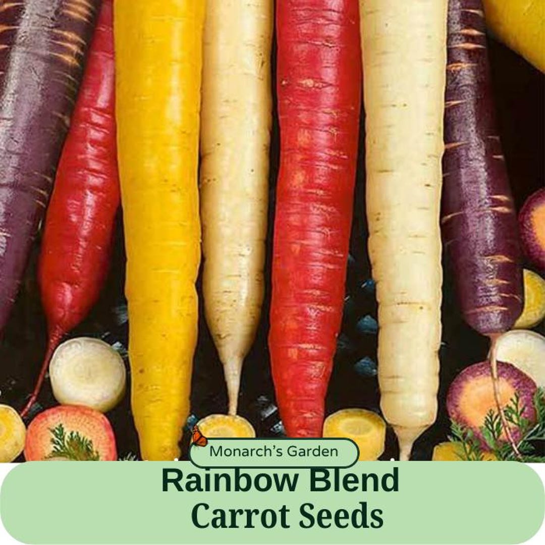 Rainbow Blend Carrot Seeds – Heirloom Colorful Carrots, Open Pollinated ...