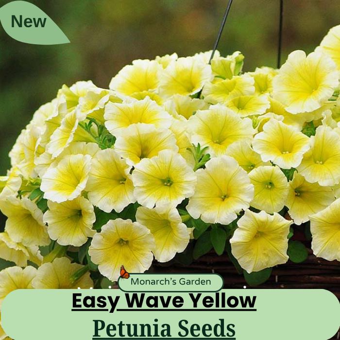 Petunia Easy Wave Yellow PELLETED UNTREATED - Etsy