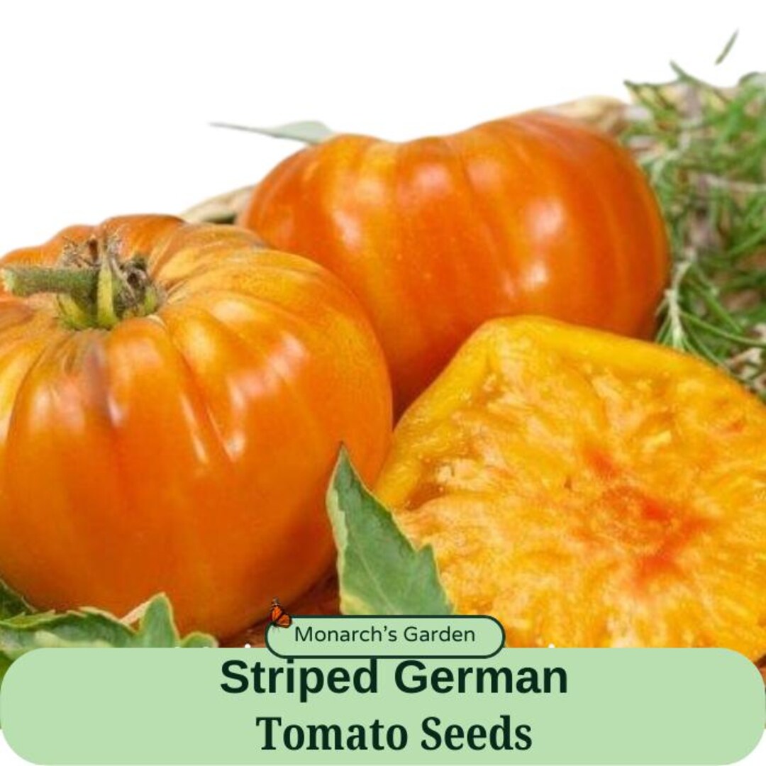 Striped German Heirloom. Non-gmo. Open Pollinated Tomato Seeds USA ...
