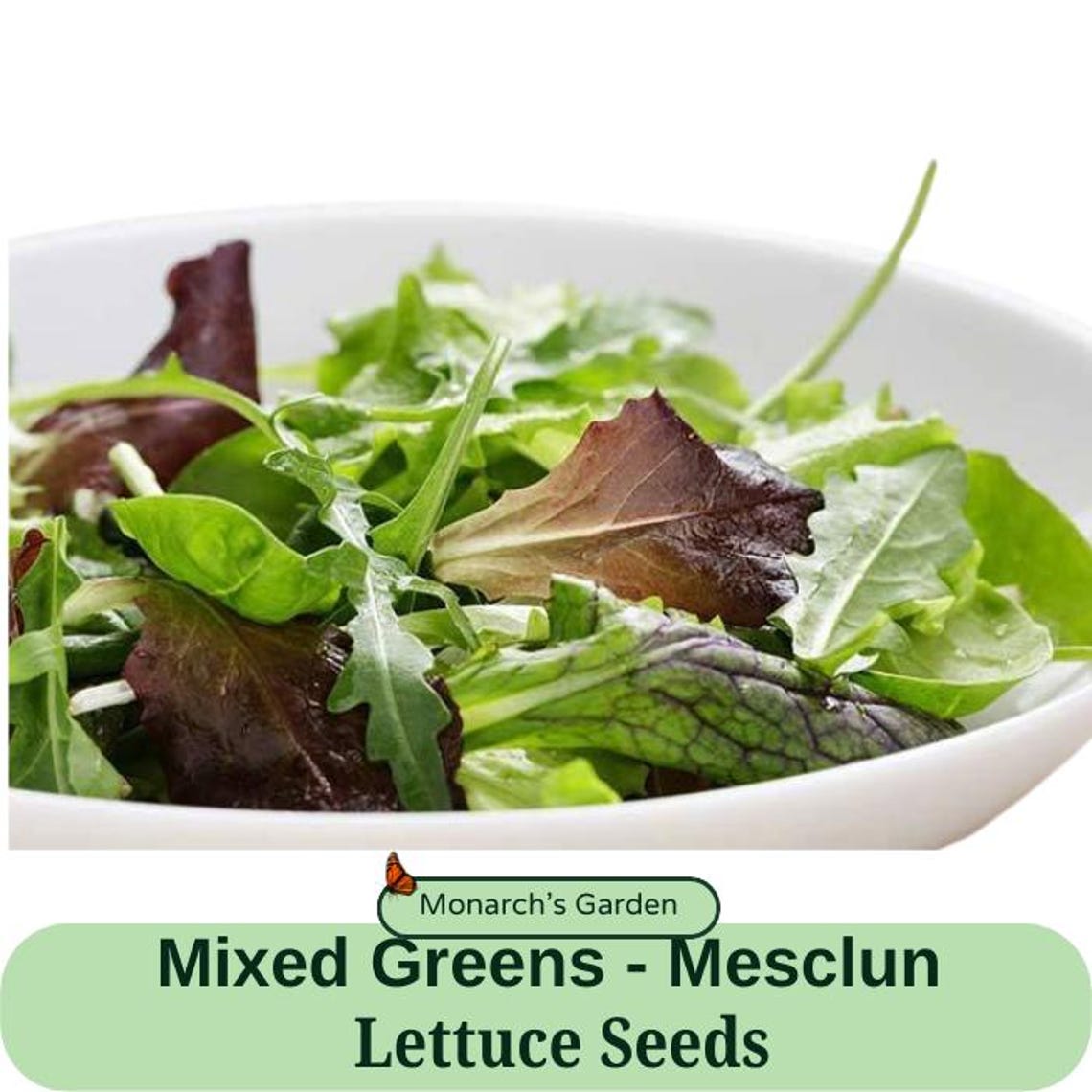 Lettuce Seeds Mesclun Mix- Mixed Greens - Etsy
