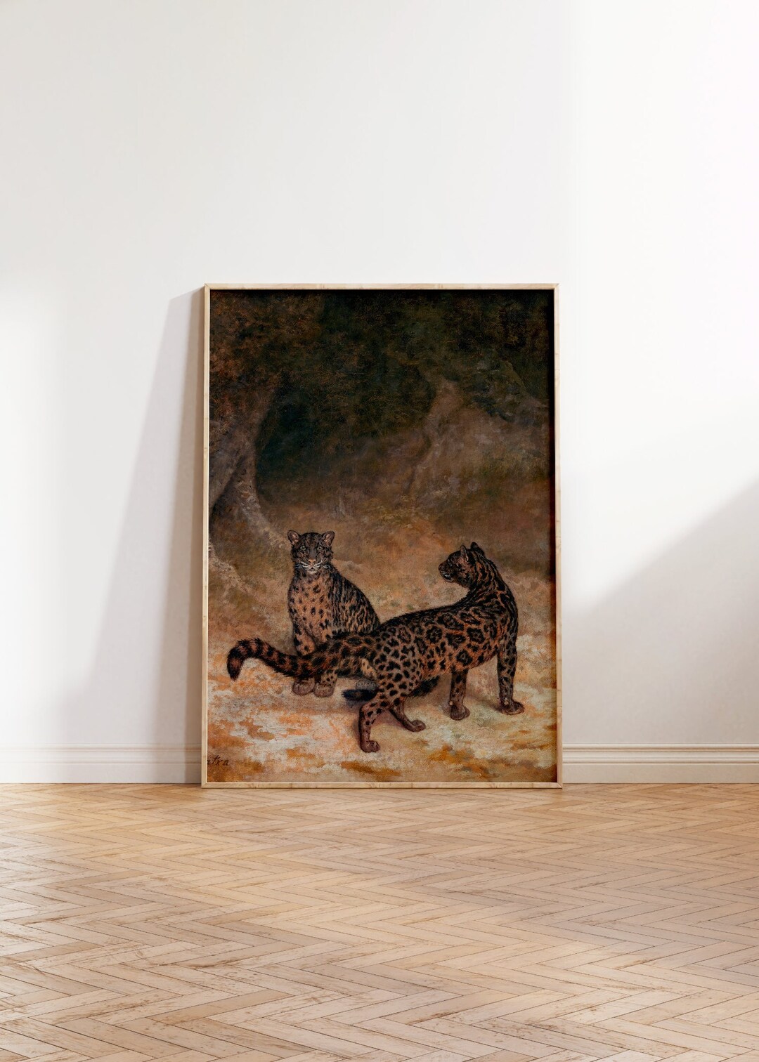 Leopards Art Print, Clouded Leopards Poster, Vintage Animal Poster ...