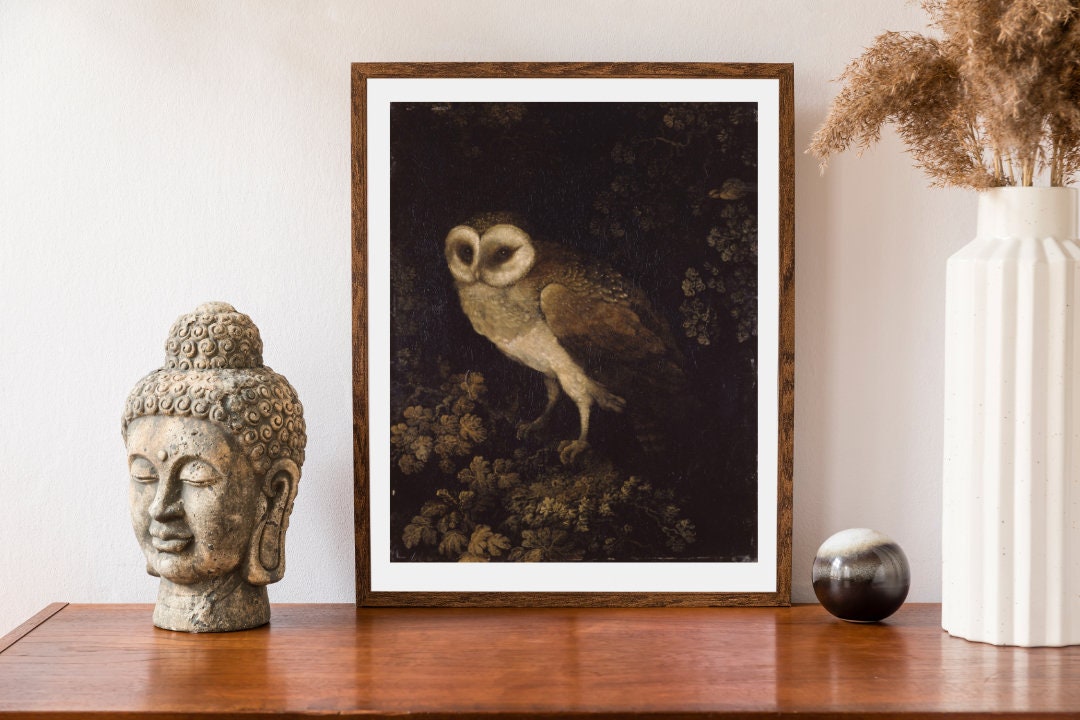 An Owl by Moses Haughton the Elder Art Print, Vintage Owl Poster - Etsy