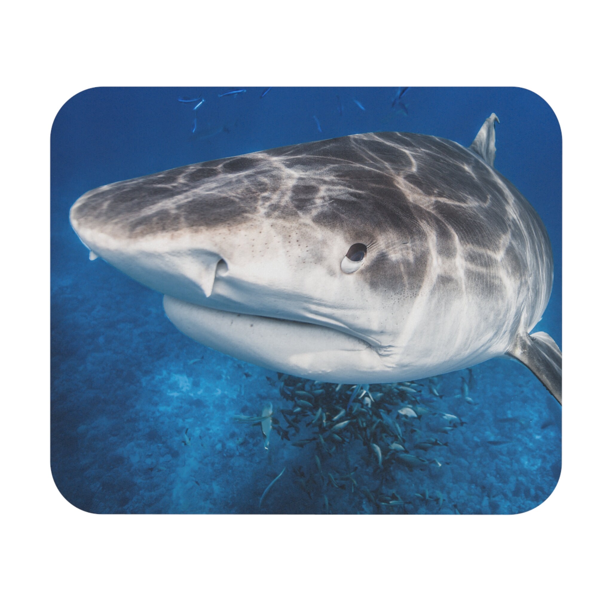 Tiger Shark Mouse Pad - Etsy