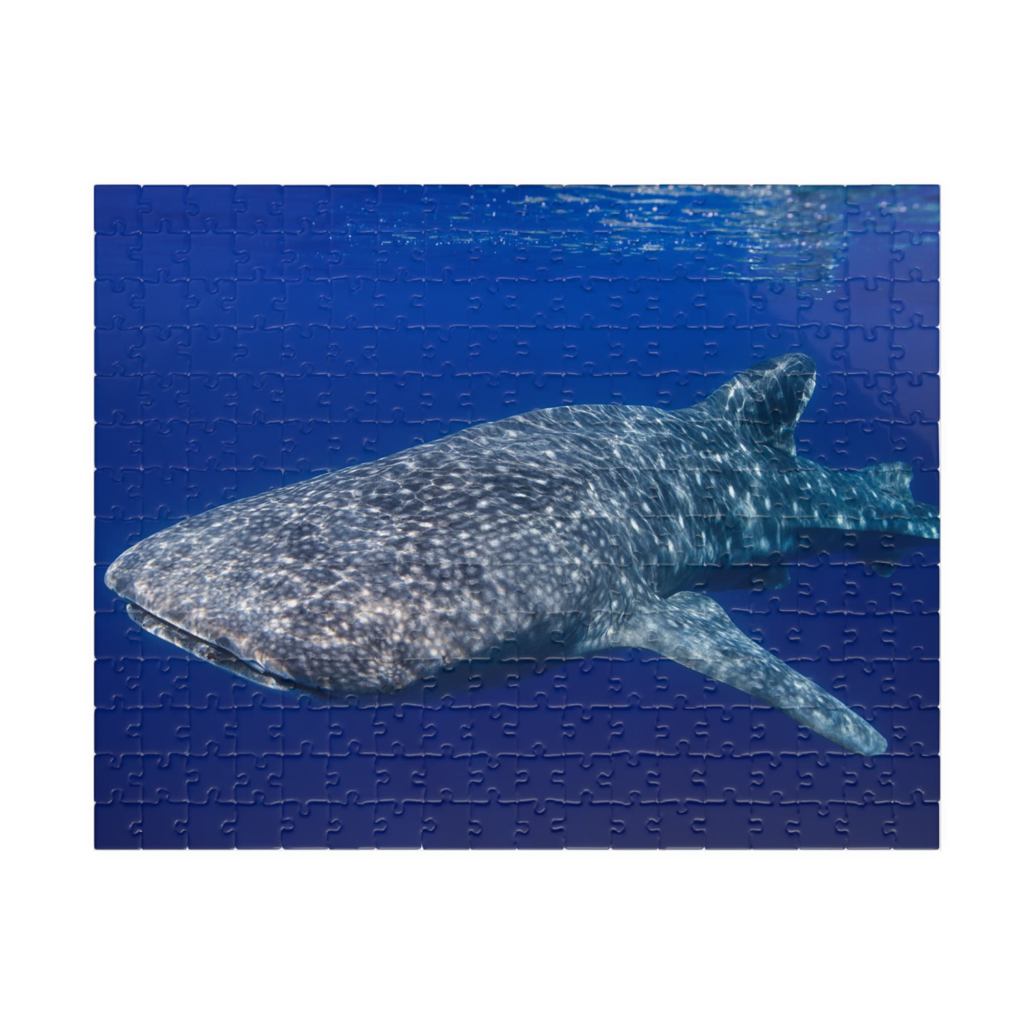 Whale Shark Puzzle (110, 252, 500, or 1014-piece) - Etsy