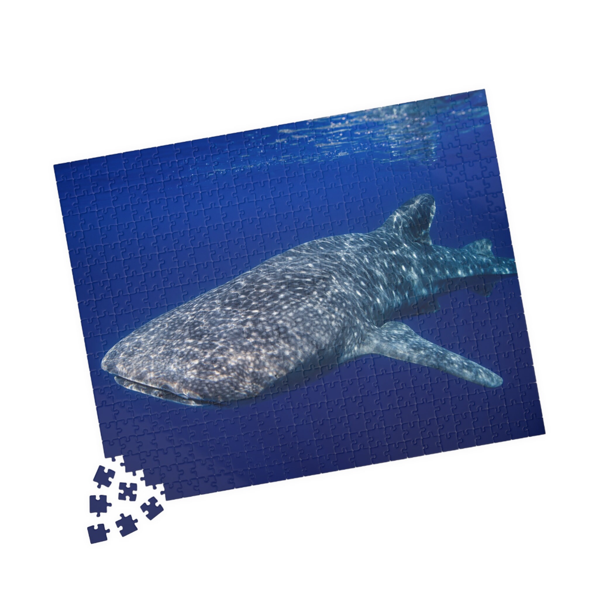 Whale Shark Puzzle (110, 252, 500, or 1014-piece) - Etsy