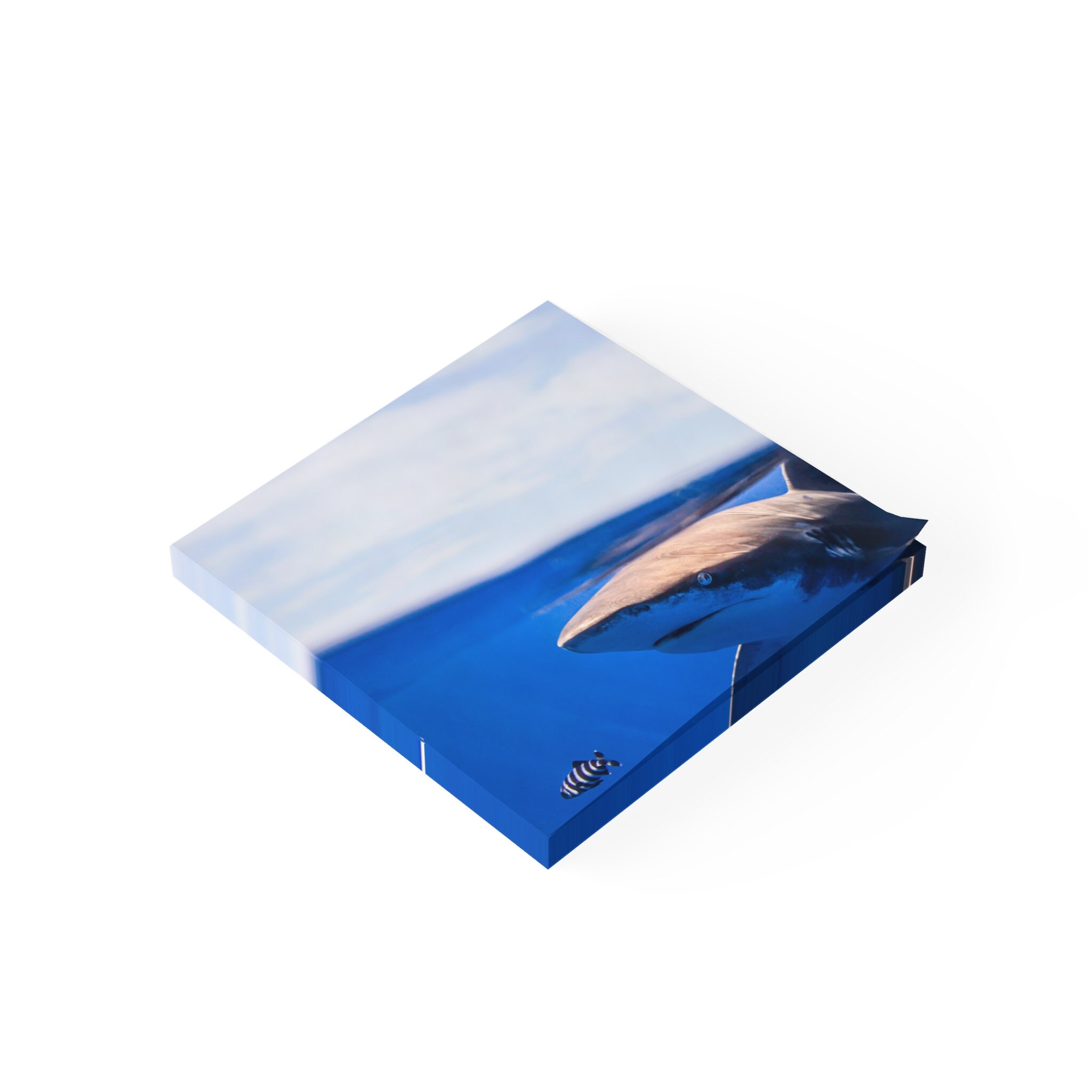 Oceanic White Tip Shark Post-it® Note Pads - Etsy