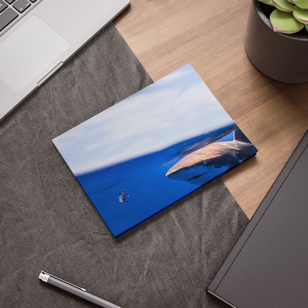 Oceanic White Tip Shark Post-it® Note Pads - Etsy