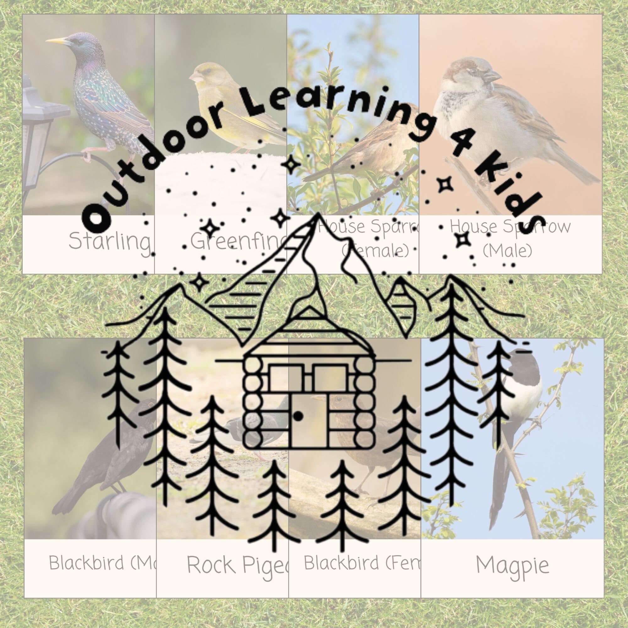 Digital Garden Birds Flashcards Part 2 , Forest School,flashcards ...
