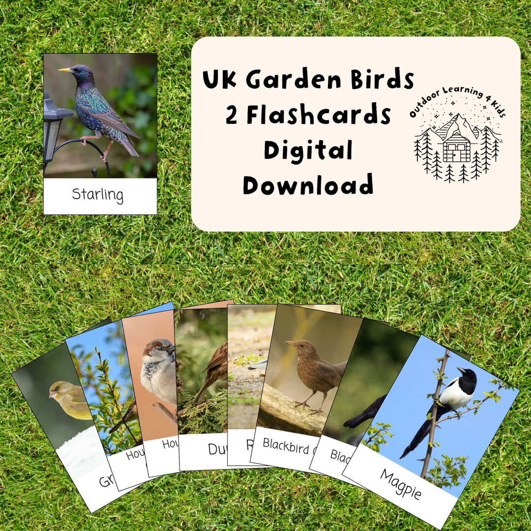 Digital Garden Birds Flashcards Part 2 , Forest School,flashcards ...