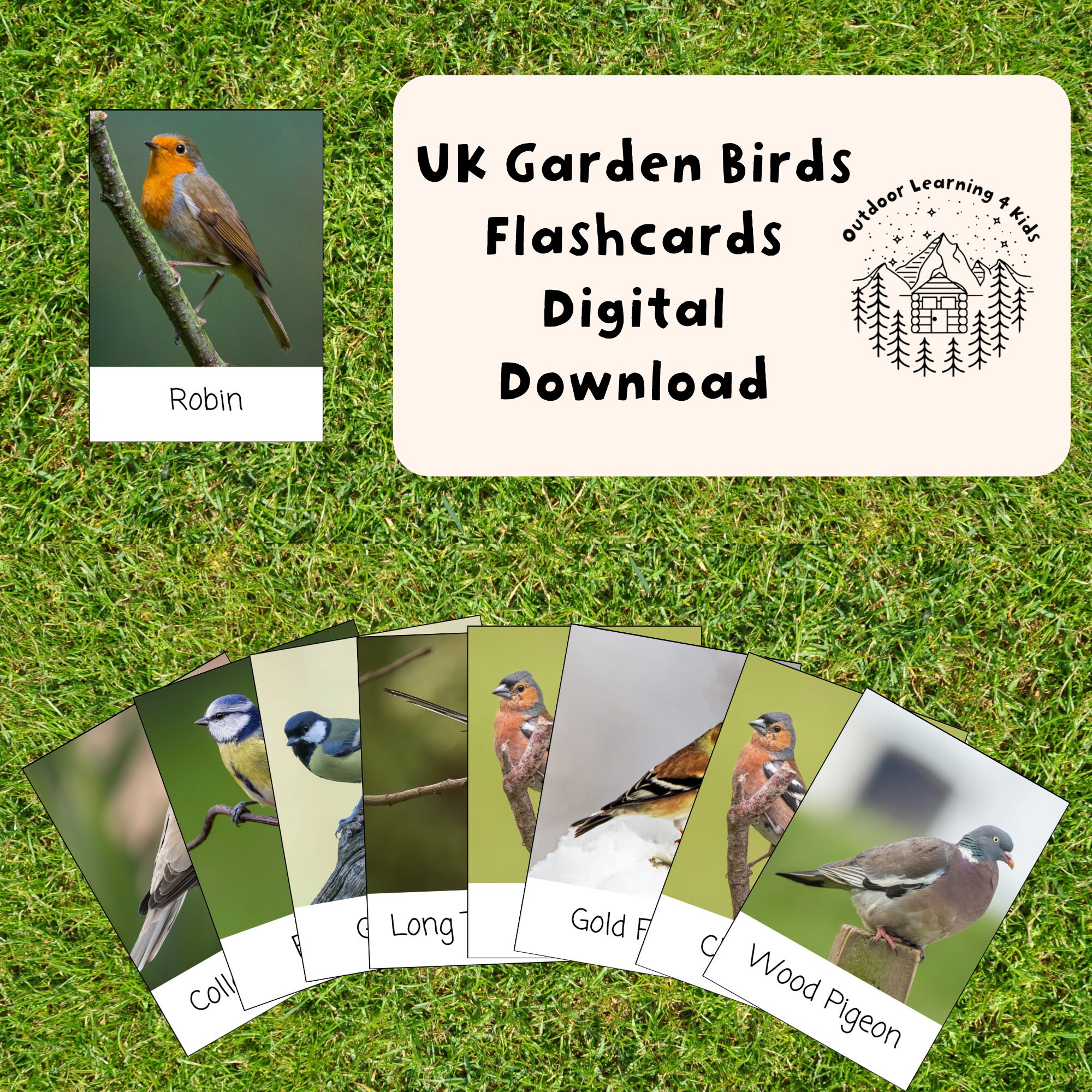 Digital Garden Bird Flashcards, Forest School Flashcards, Printable ...
