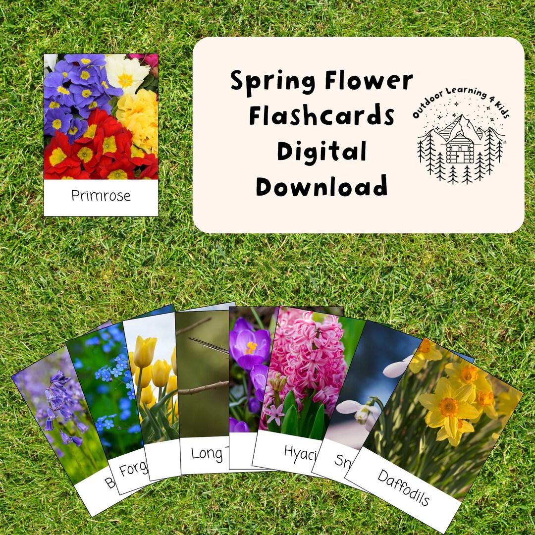 Digital Spring Flower Flashcards, Forest School, Flashcards, Printable ...
