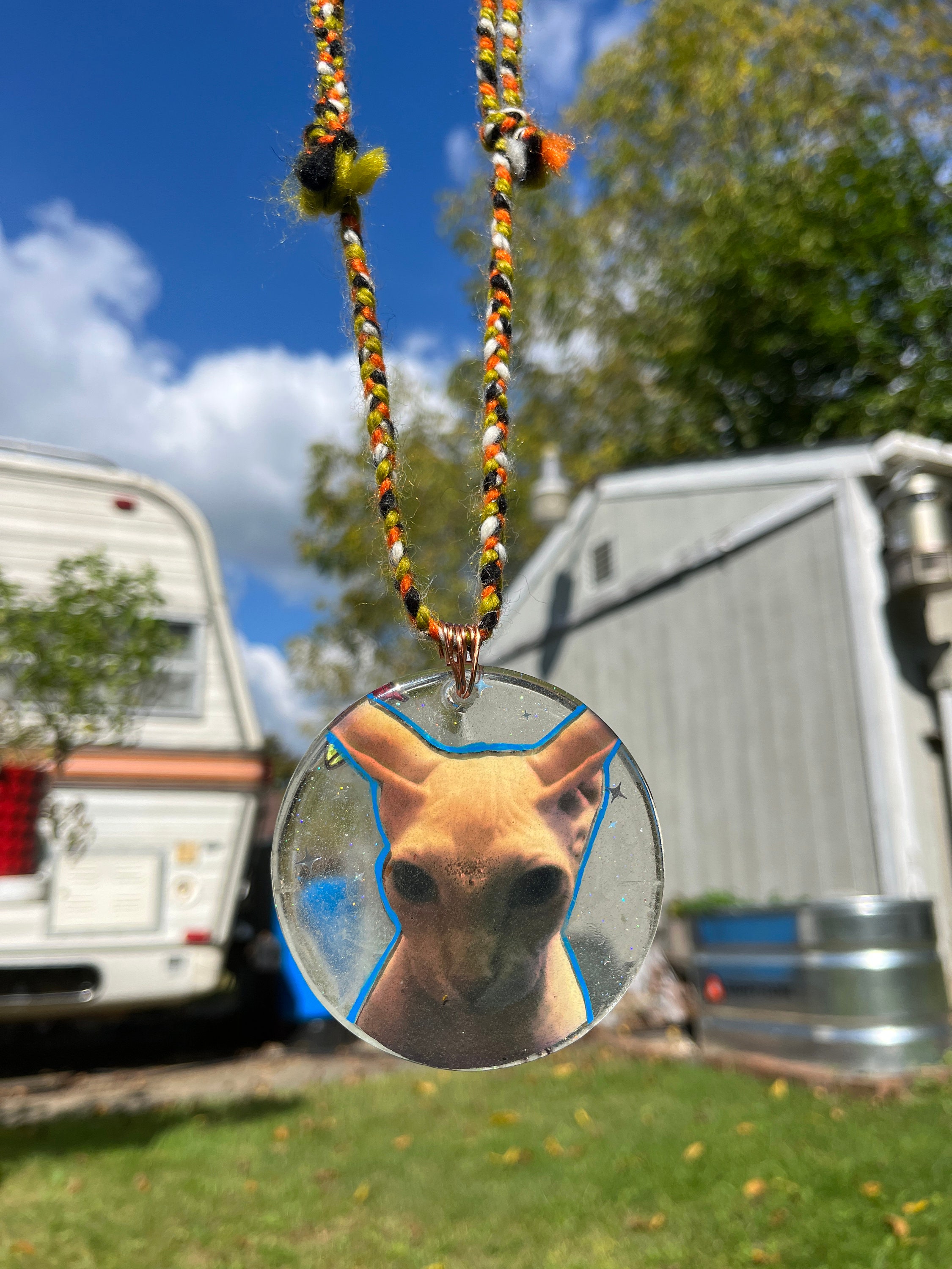 Chicken X Sphynx Kitty Necklace - Etsy