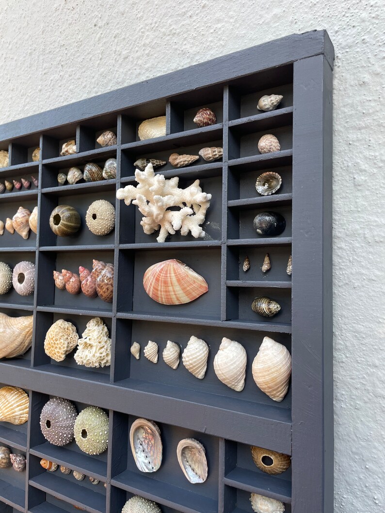 Printer Tray Shell Art - Etsy