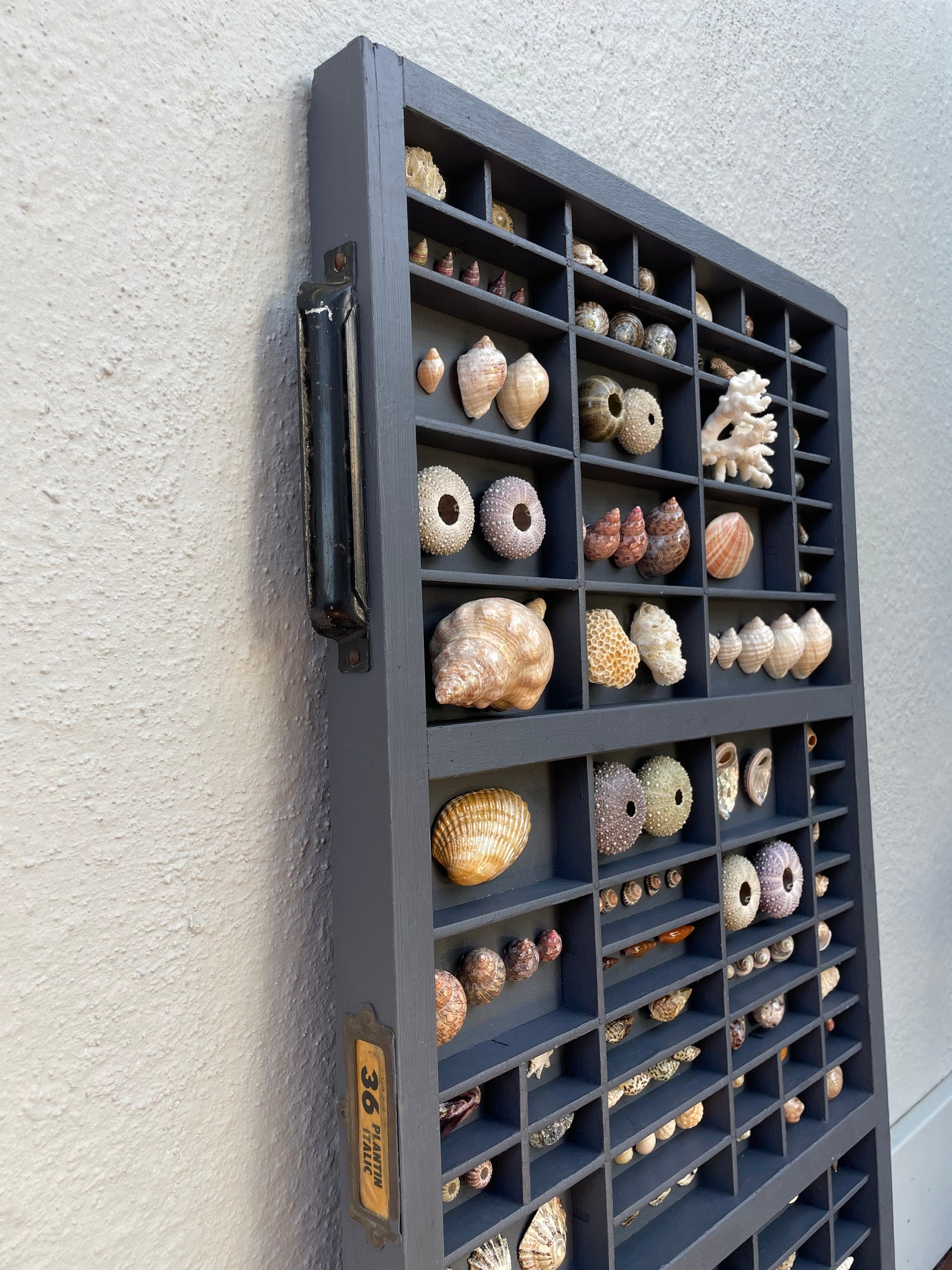 Printer Tray Shell Art - Etsy