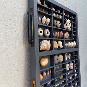 Printer Tray Shell Art - Etsy