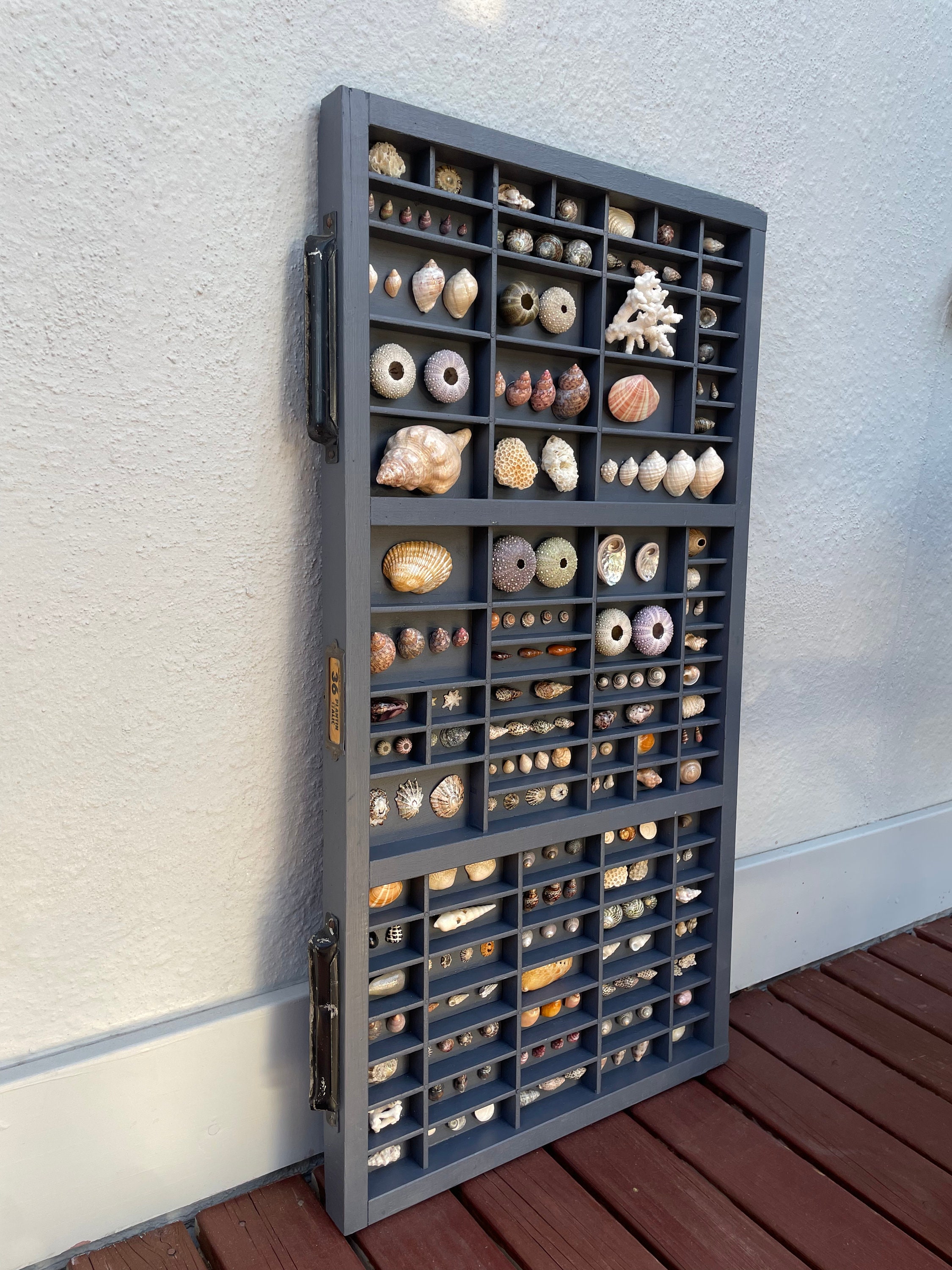 Printer Tray Shell Art - Etsy