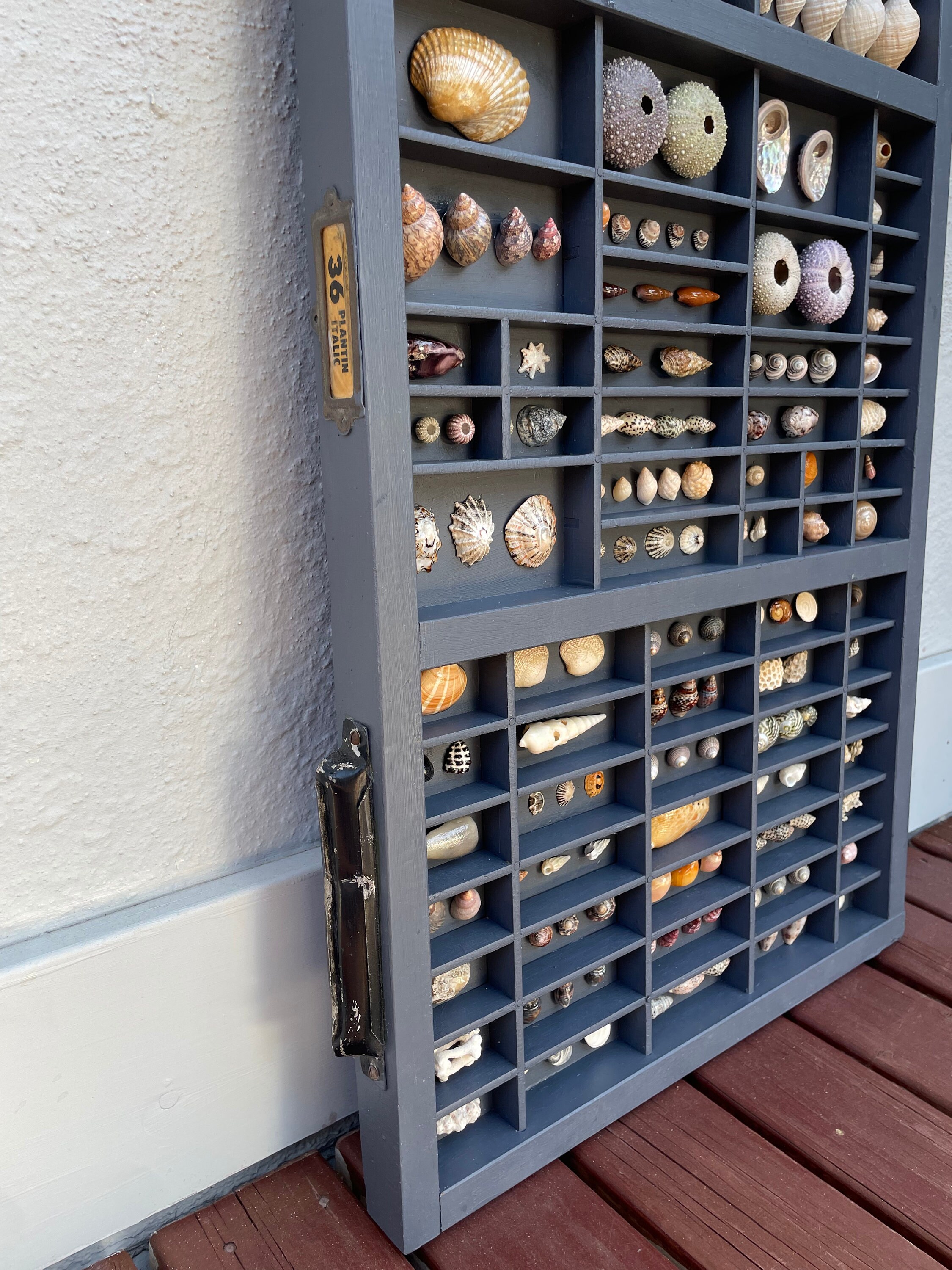 Printer Tray Shell Art - Etsy