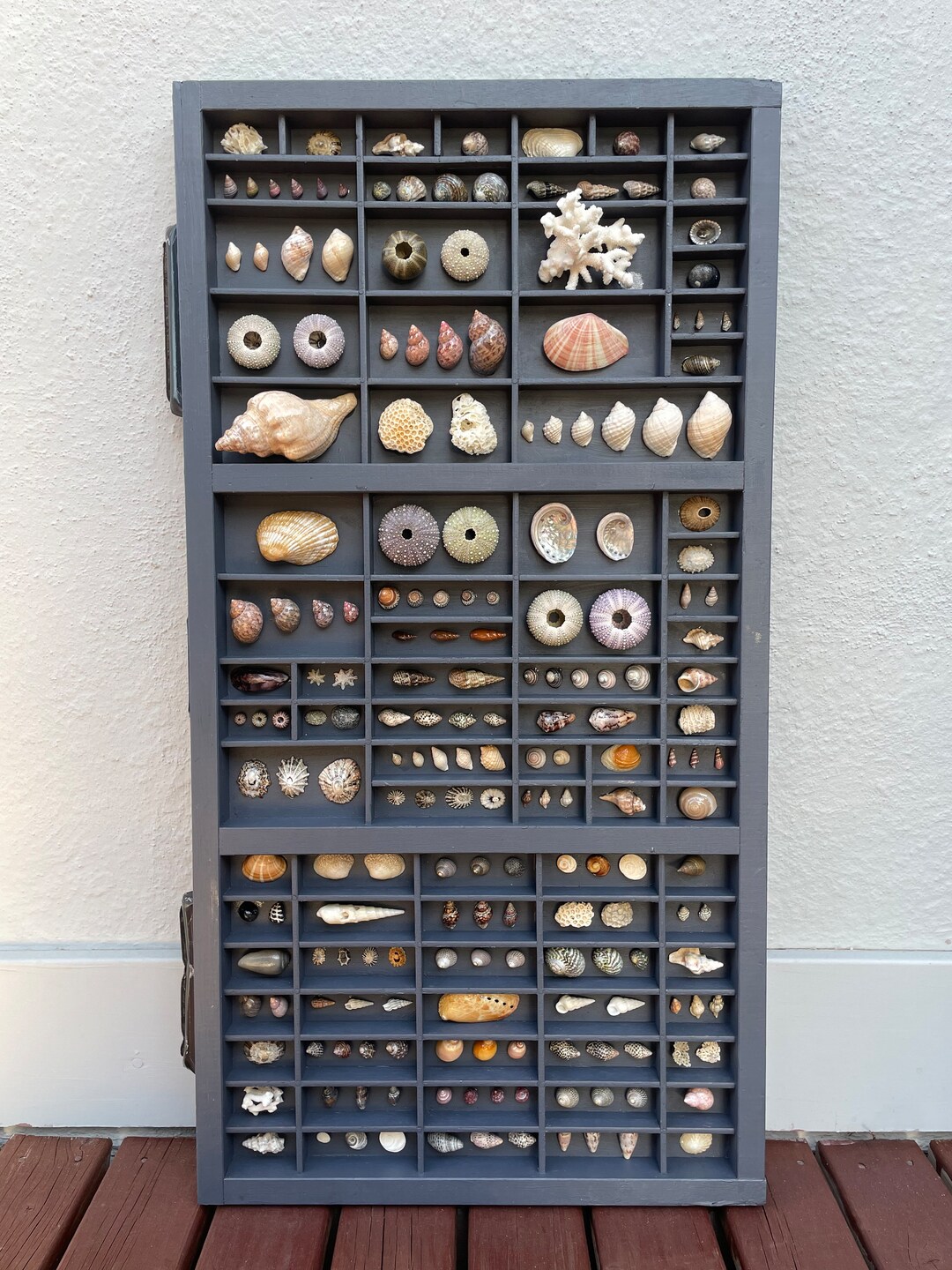 Printer Tray Shell Art - Etsy