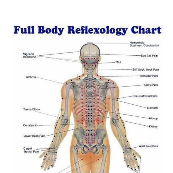 Massage Therapist Foot Reflexology Chart 1 Poster, Vintage Poster - Etsy Canada