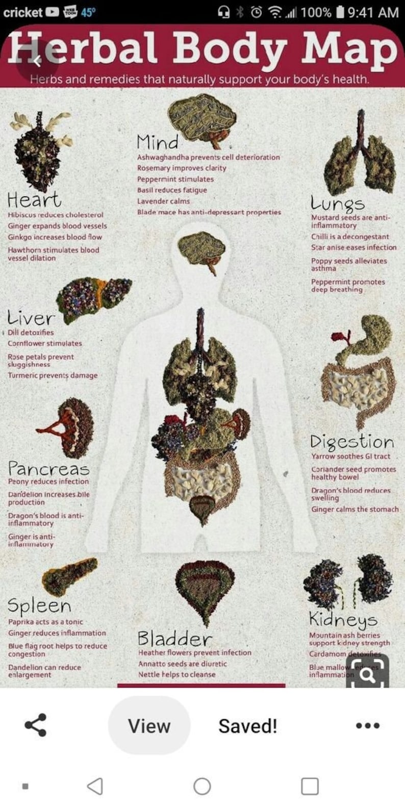 HERBAL BODY MAP - Etsy Canada