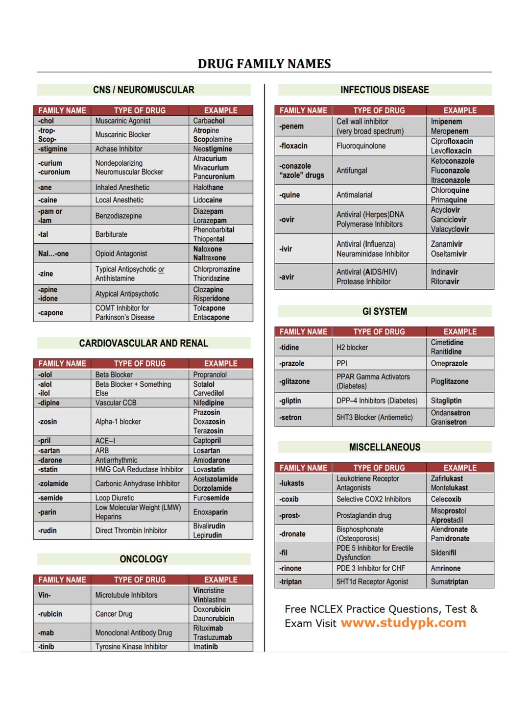 DRUG FAMILY NAMES Cheat Sheet - Etsy
