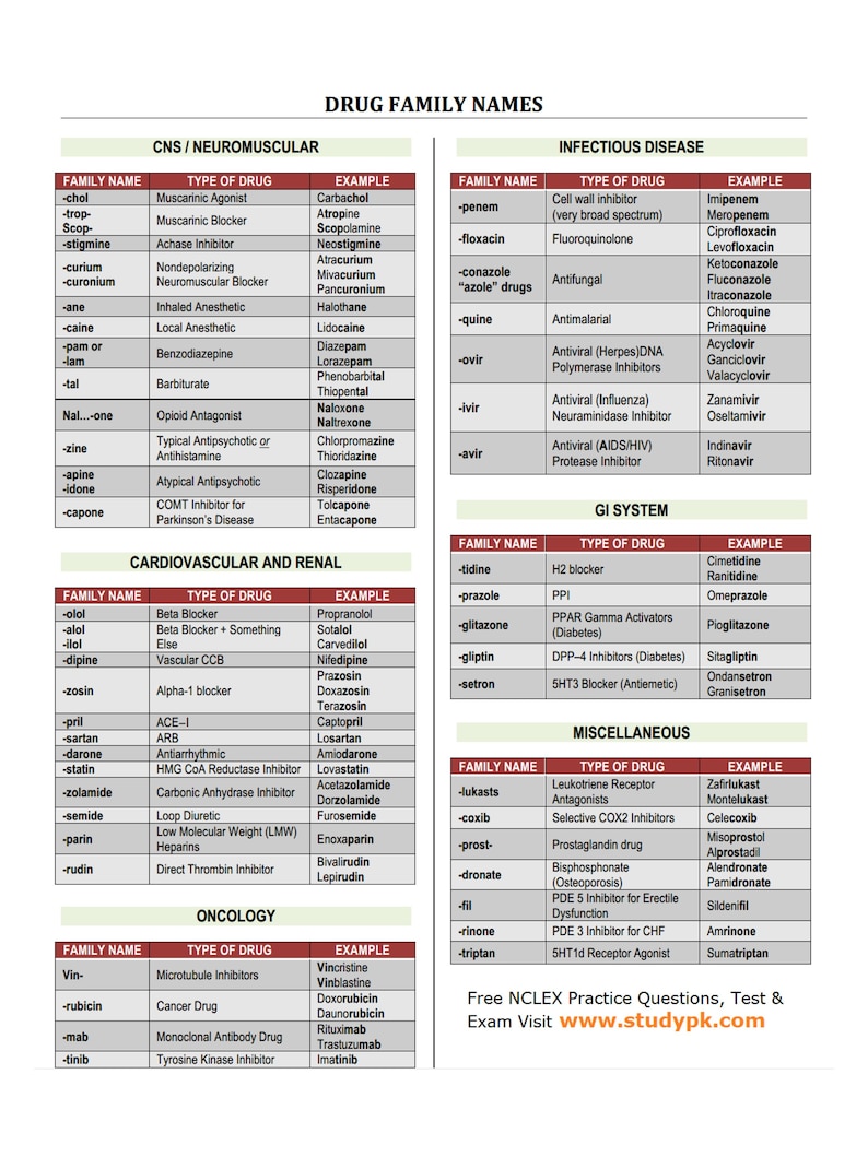 DRUG FAMILY NAMES Cheat Sheet - Etsy