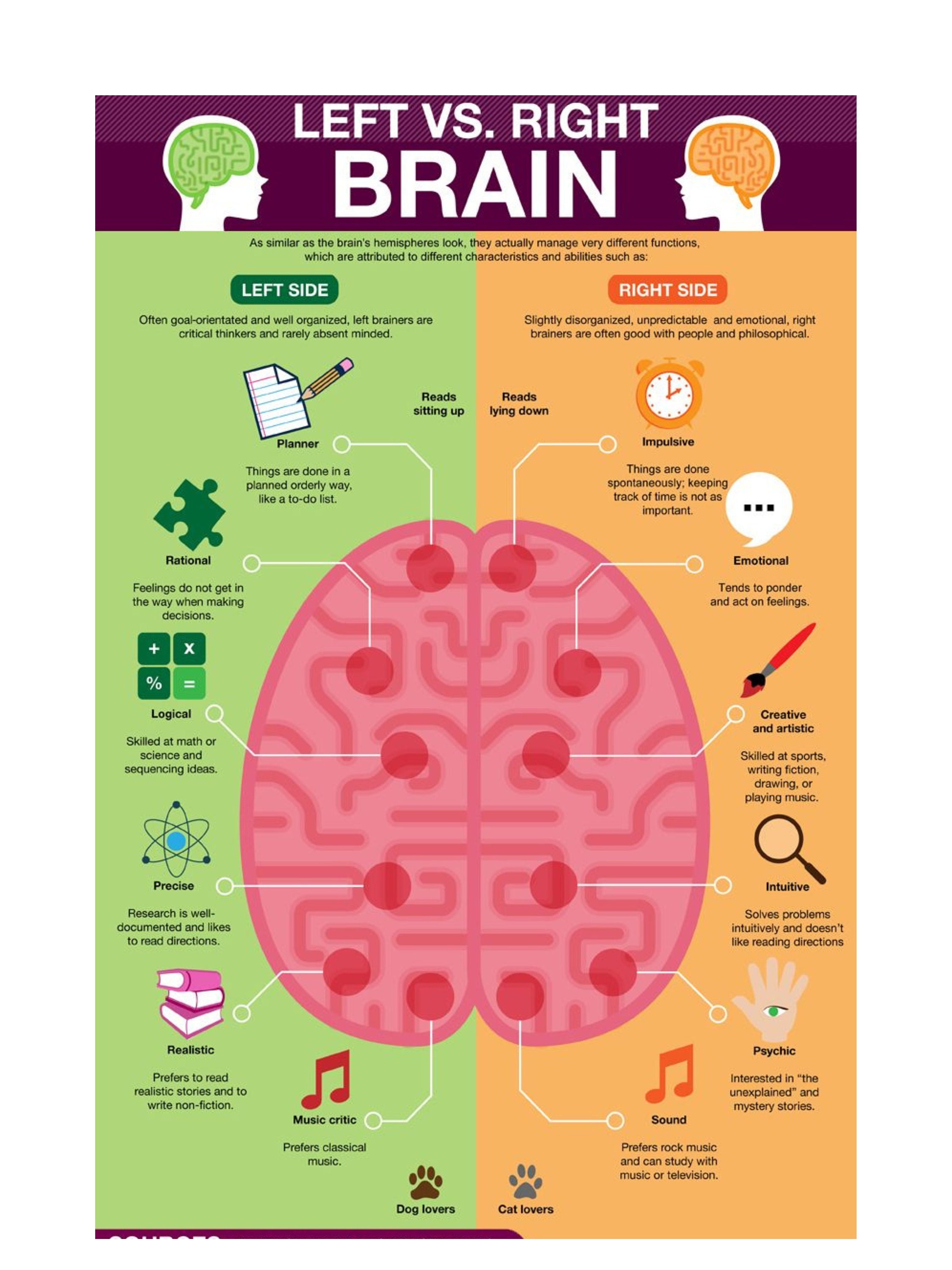 Left Side Of The Brain Characteristics