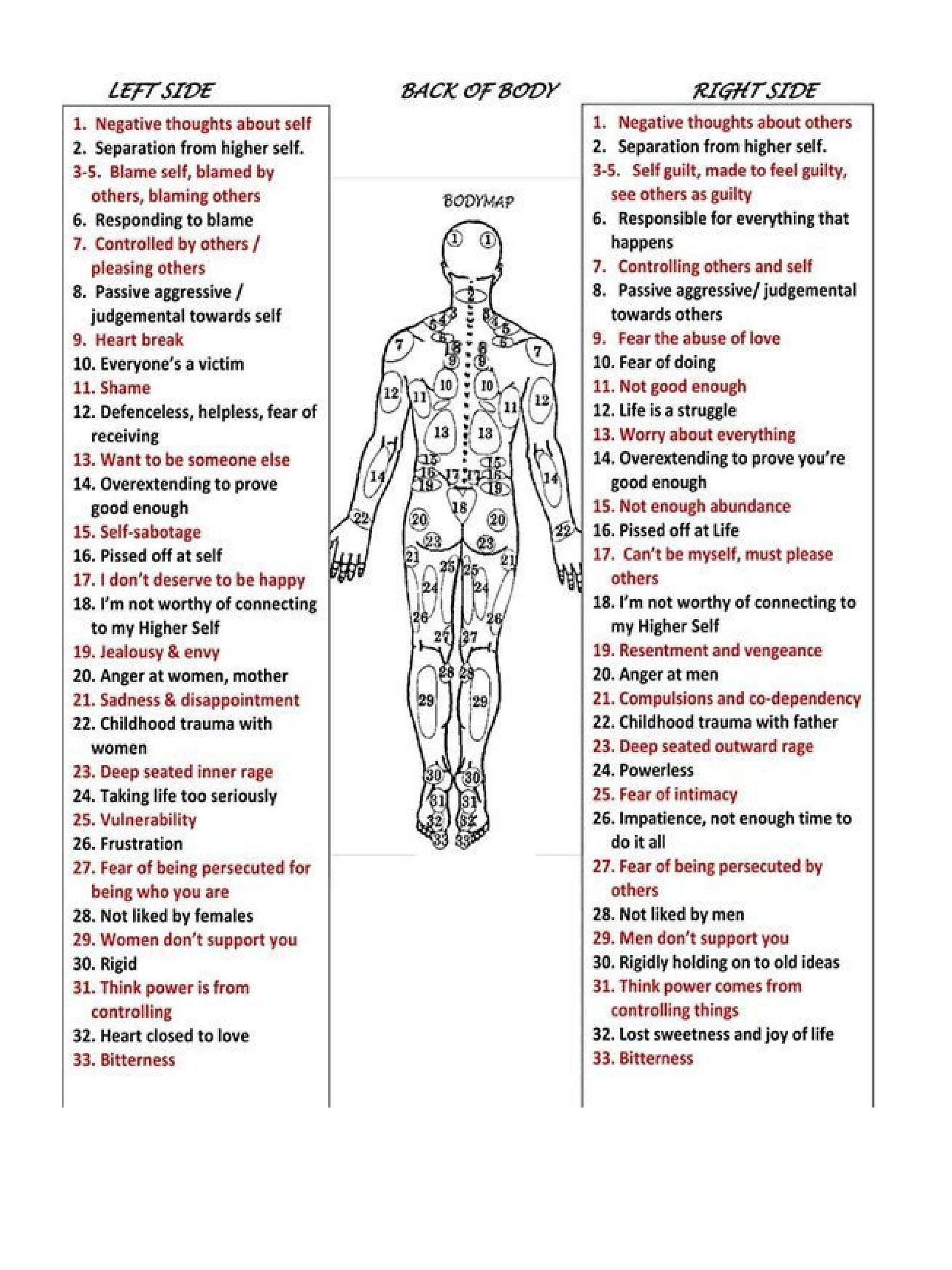 Back of Body Reflexology Chart for Acupuncture and Massages - Etsy