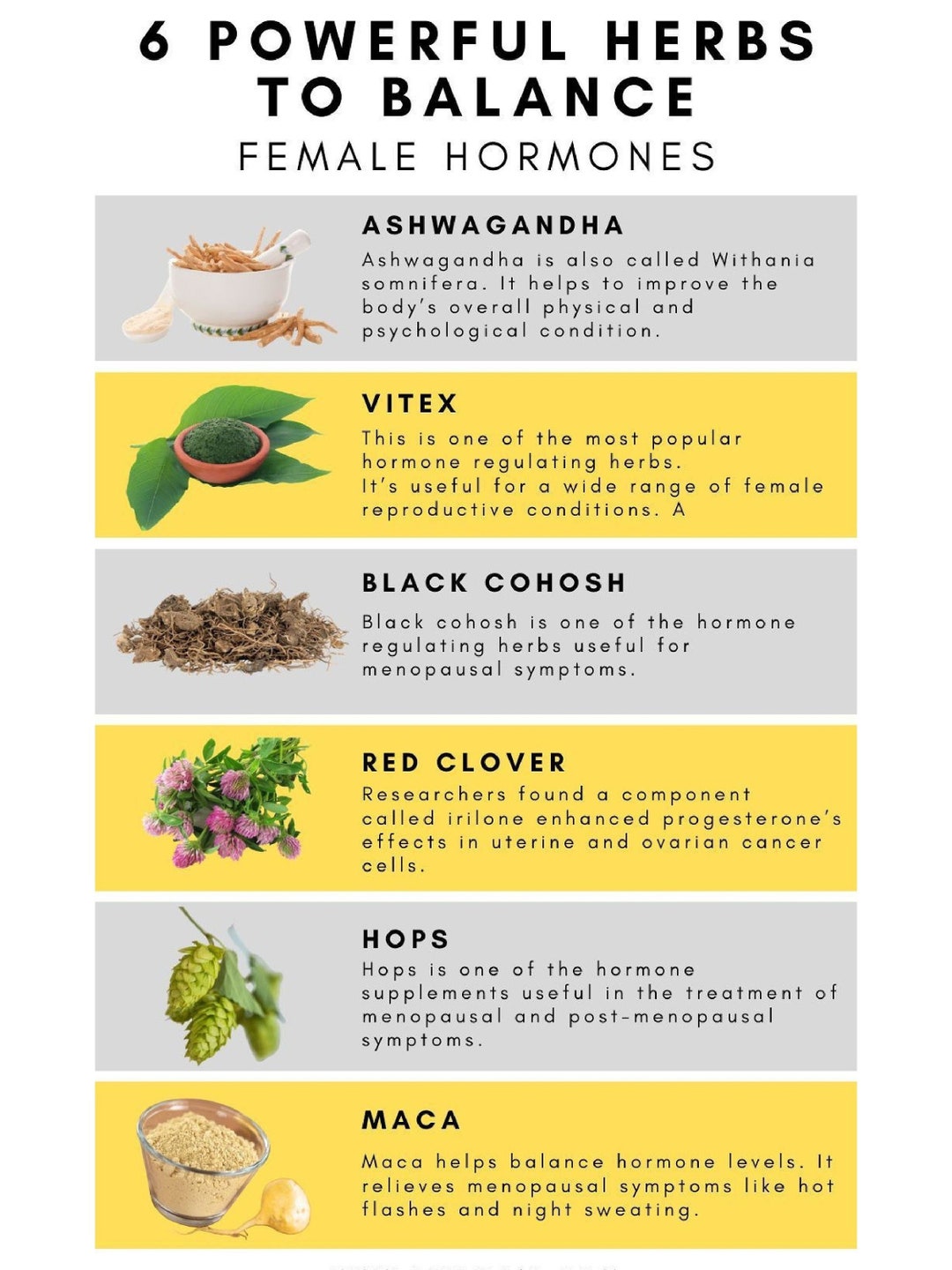 6 POWERFUL HERBS That Balances Female HORMONES - Etsy