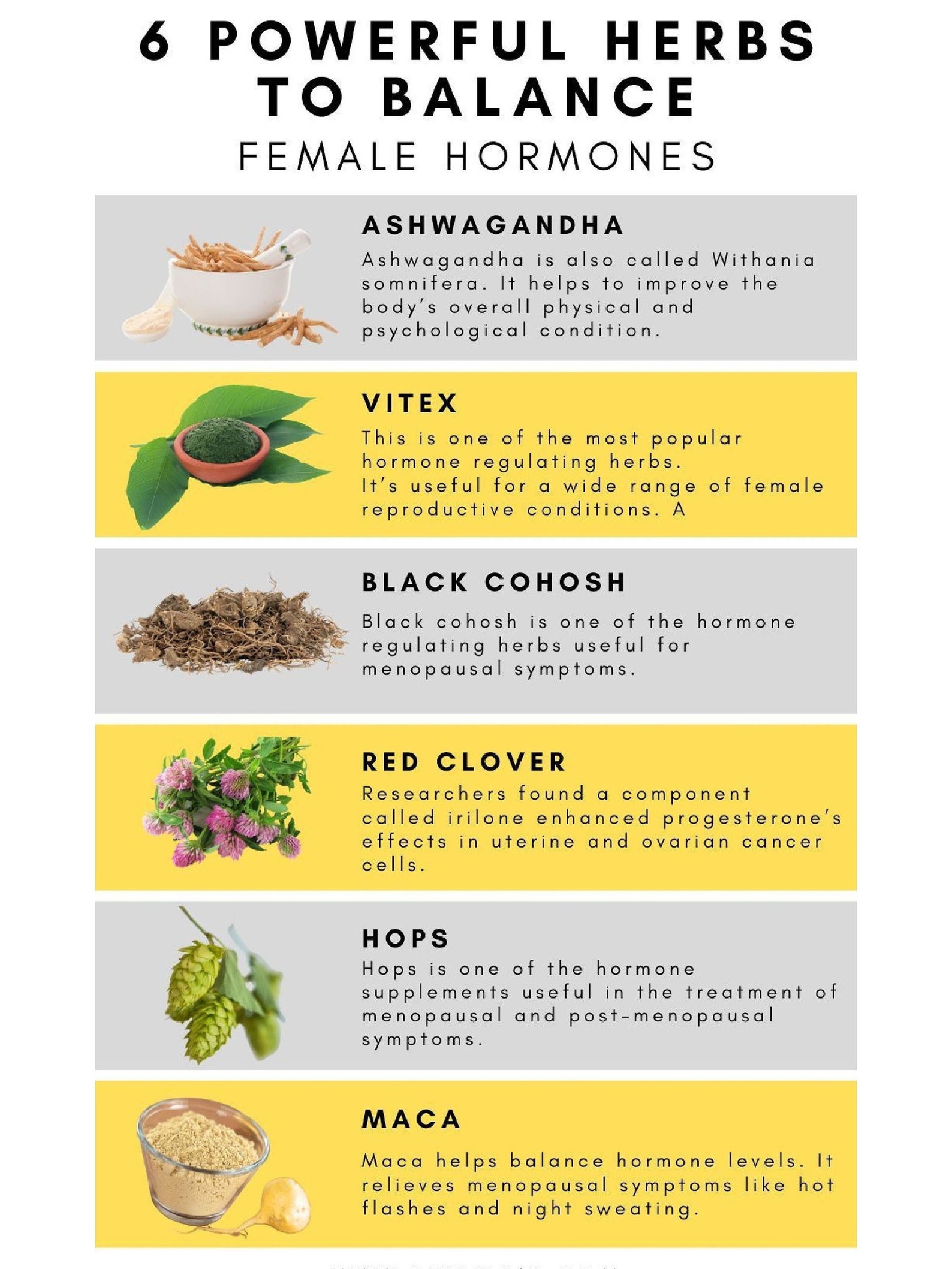 6 POWERFUL HERBS That Balances Female HORMONES - Etsy