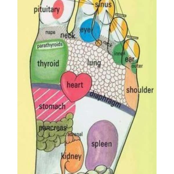 Reflexology Poster - Etsy