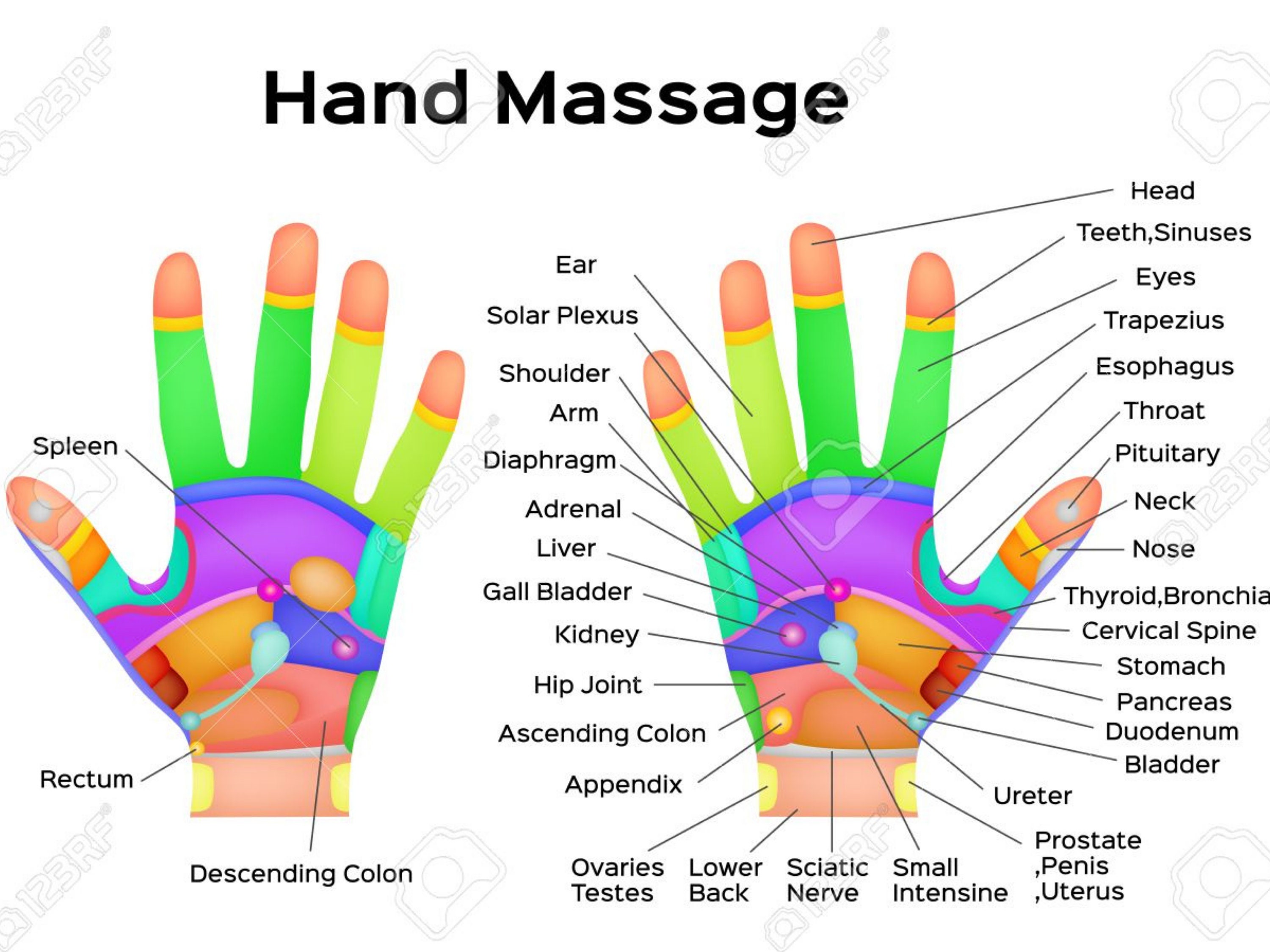 HAND MASSAGE REFLEXOLOGY - Etsy