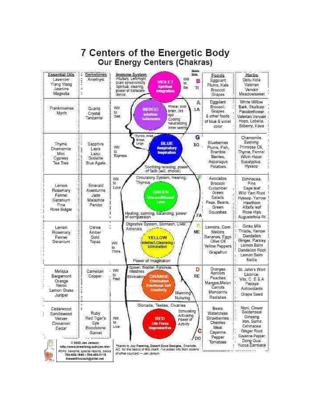 7 CENTERS of the ENERGETIC BODY - Etsy