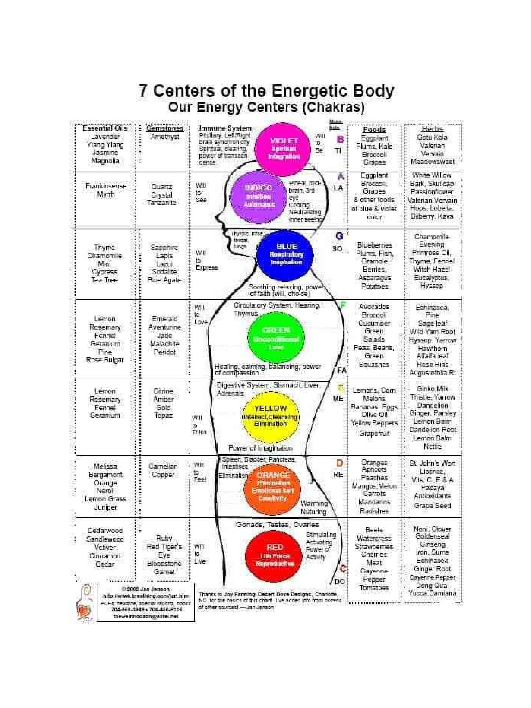 7 CENTERS of the ENERGETIC BODY - Etsy