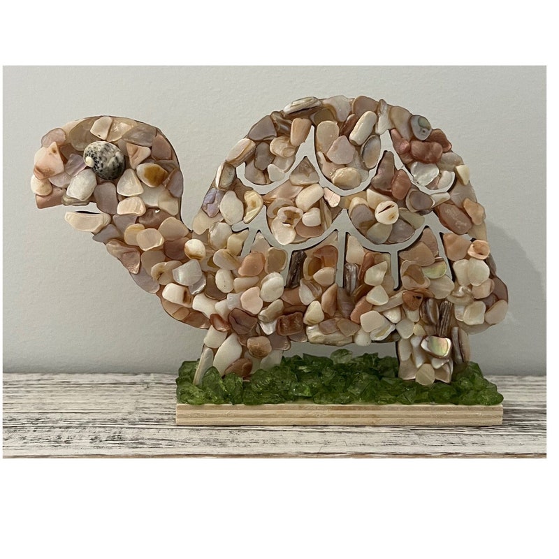 Seashell Turtle - Etsy