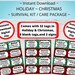 CHRISTMAS HOLIDAY Survival Kit, Christmas Holiday Care Package, Gift ...