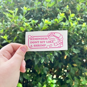 Reminder Don't Sit Like A Shrimp Vinyl Decal 3.5,4.5,5.5in | Funny ...