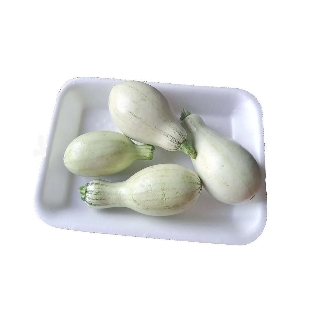 Nicaraguan Pipian Summer Squash (white Cushaw) Seeds Semillas - Etsy