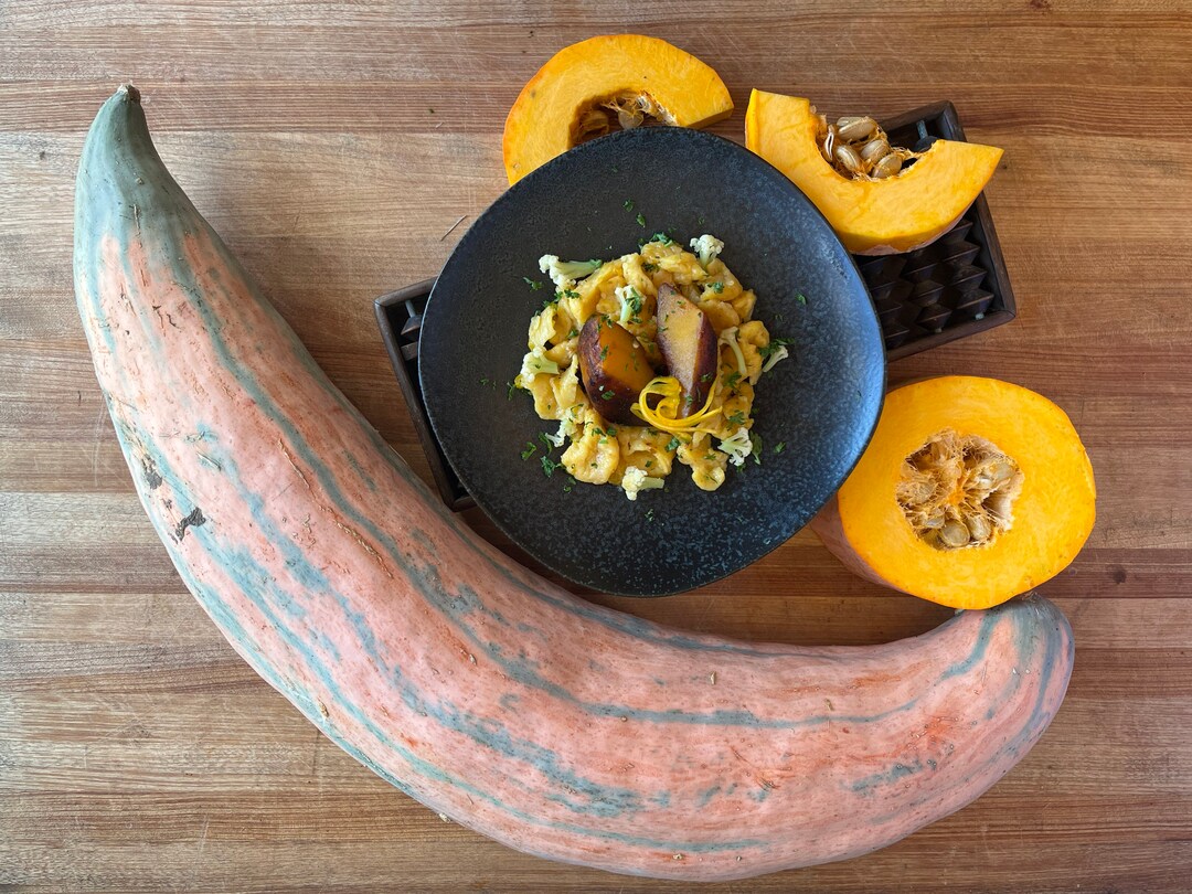 Georgia Candy Roaster Squash Seeds - Etsy